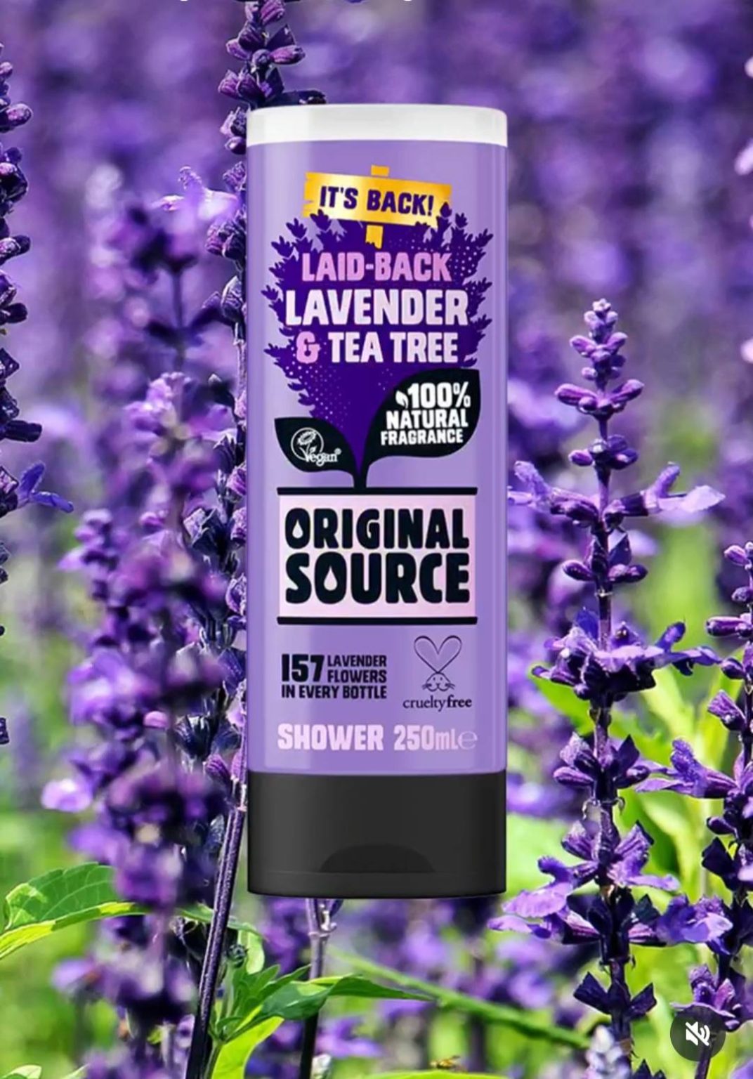 Sữa tắm Original Source